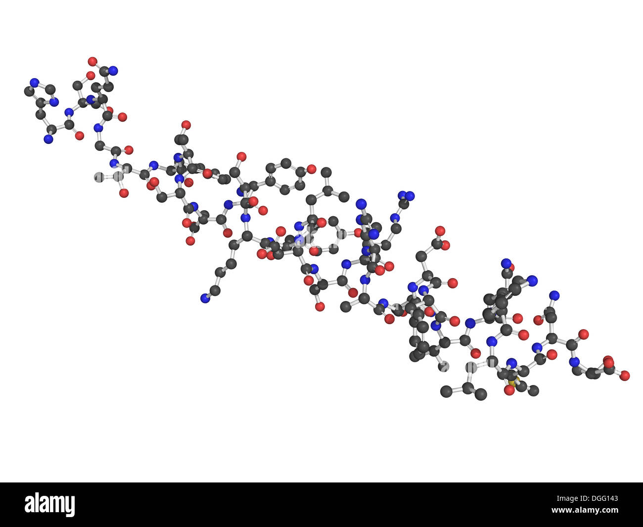 Chemical structure of glucagon, a peptide hormone secreted by the ...