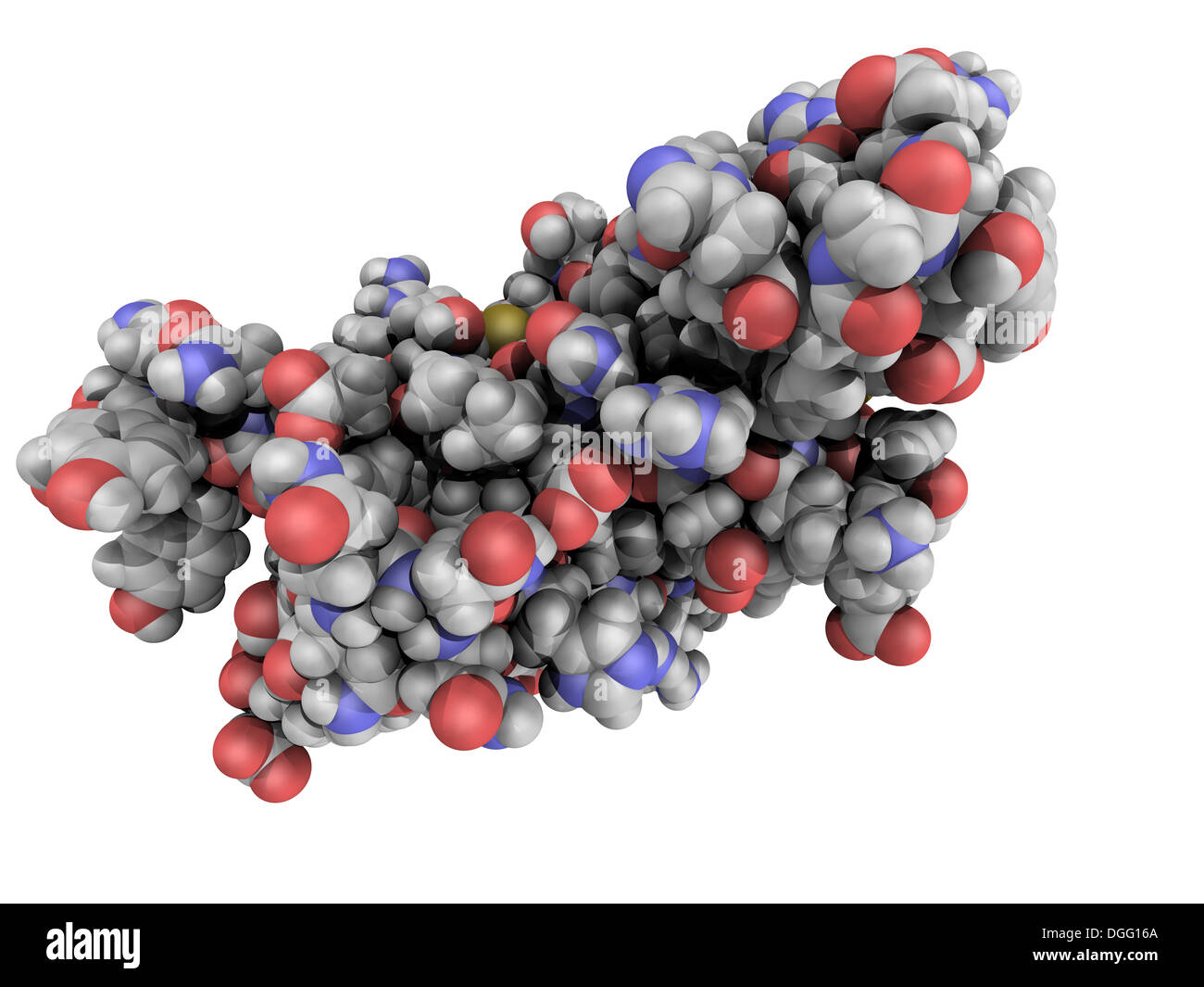 Chemical structure of a human prion protein molecule (hPrP). hPrP is ... Chemical structure of a human prion protein molecule (hPrP). hPrP is ...