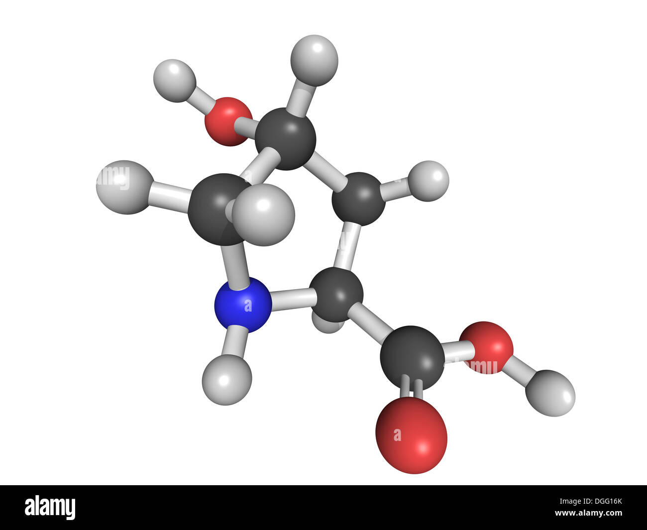 Chemical structure of hydroxyproline (Hyp), collagen building block ...