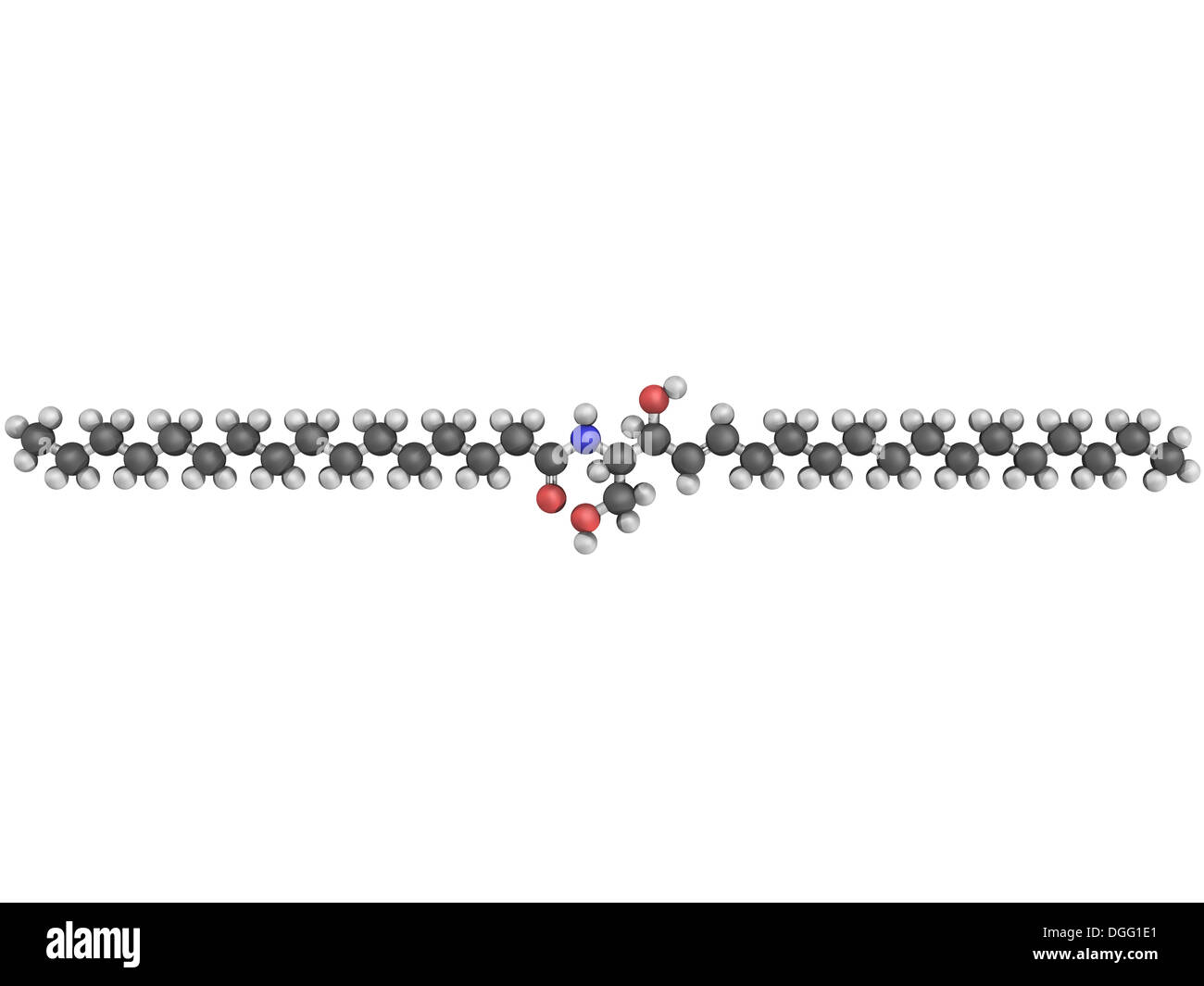 Ceramide lipid molecule hi-res stock photography and images - Alamy