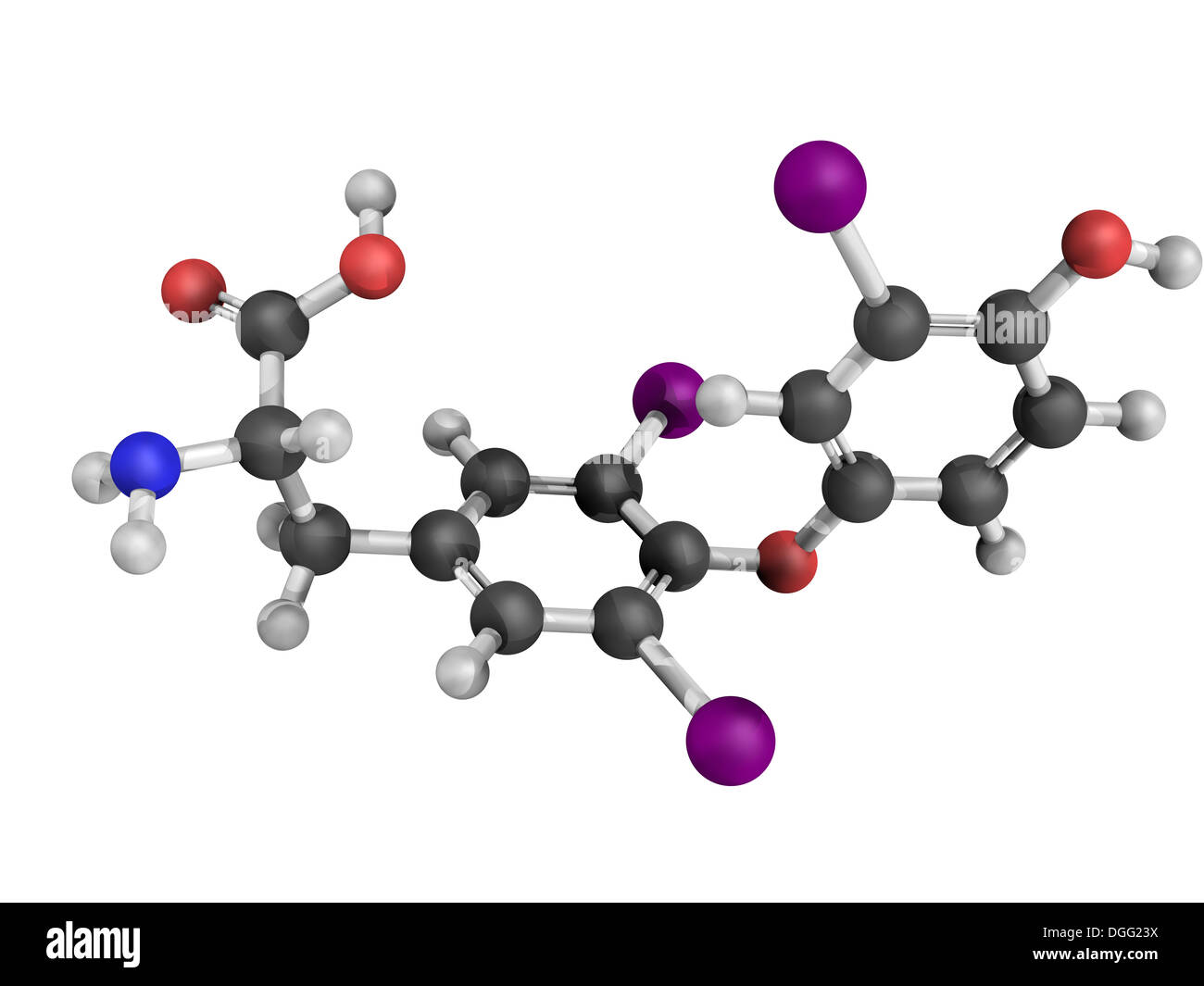Thyroxine molecule chemical structure thyroid hi-res stock photography ...