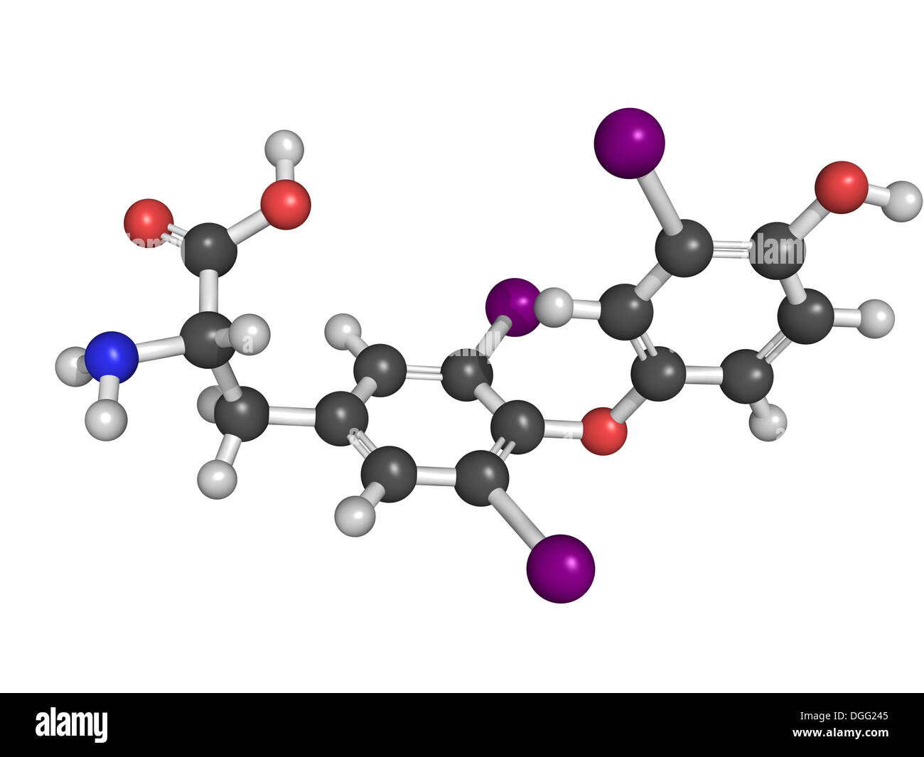 Chemical structure of a triiodothyronine (T3) molecule, thyroid hormone ...