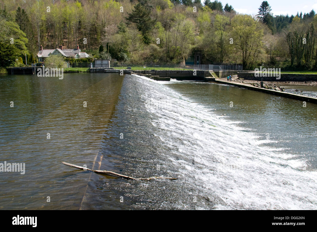 Lopwell Dam on the River Tavy near Plymouth, devon Stock Photo - Alamy