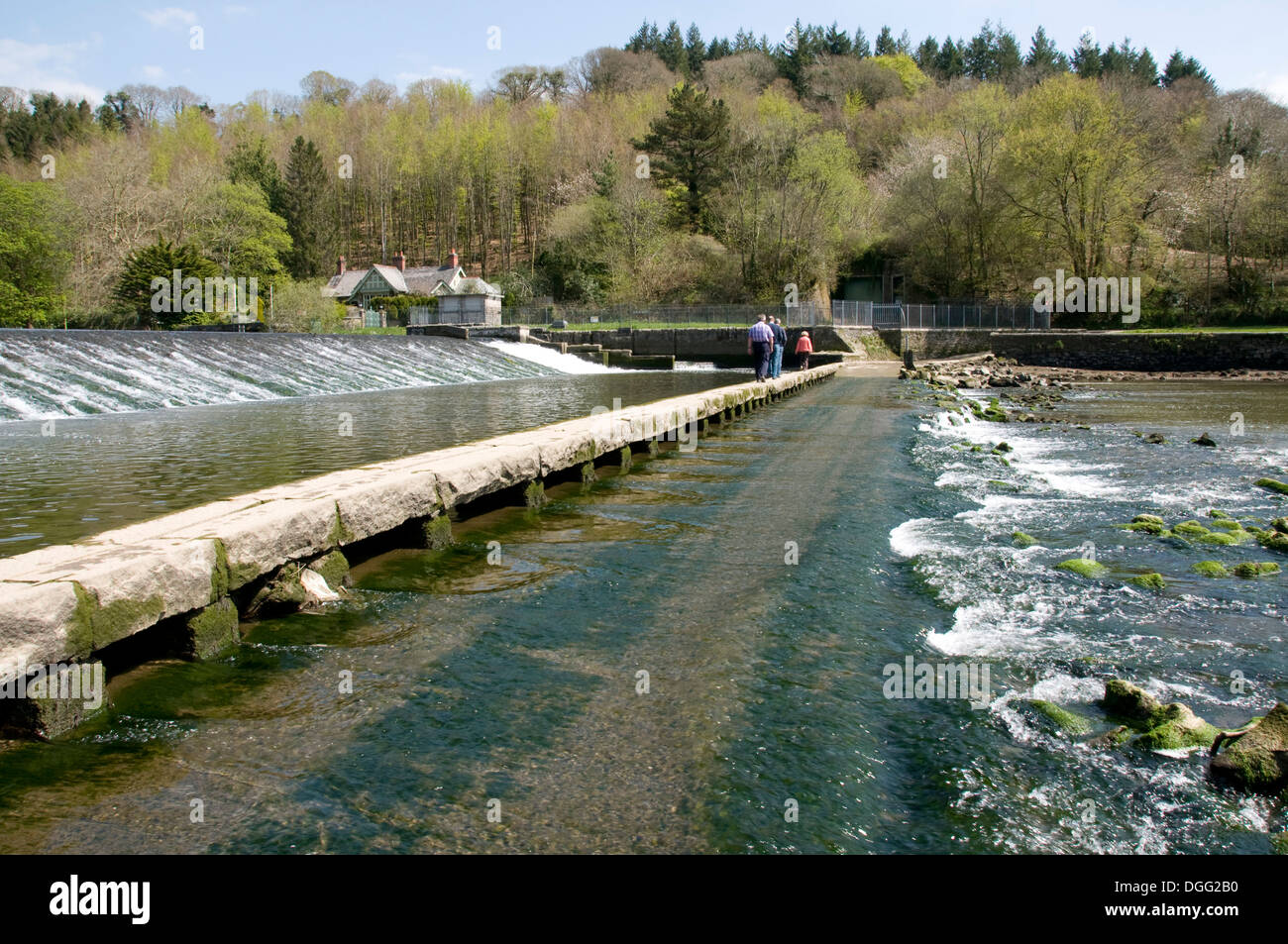 Lopwell Dam on the River Tavy near Plymouth, devon Stock Photo - Alamy