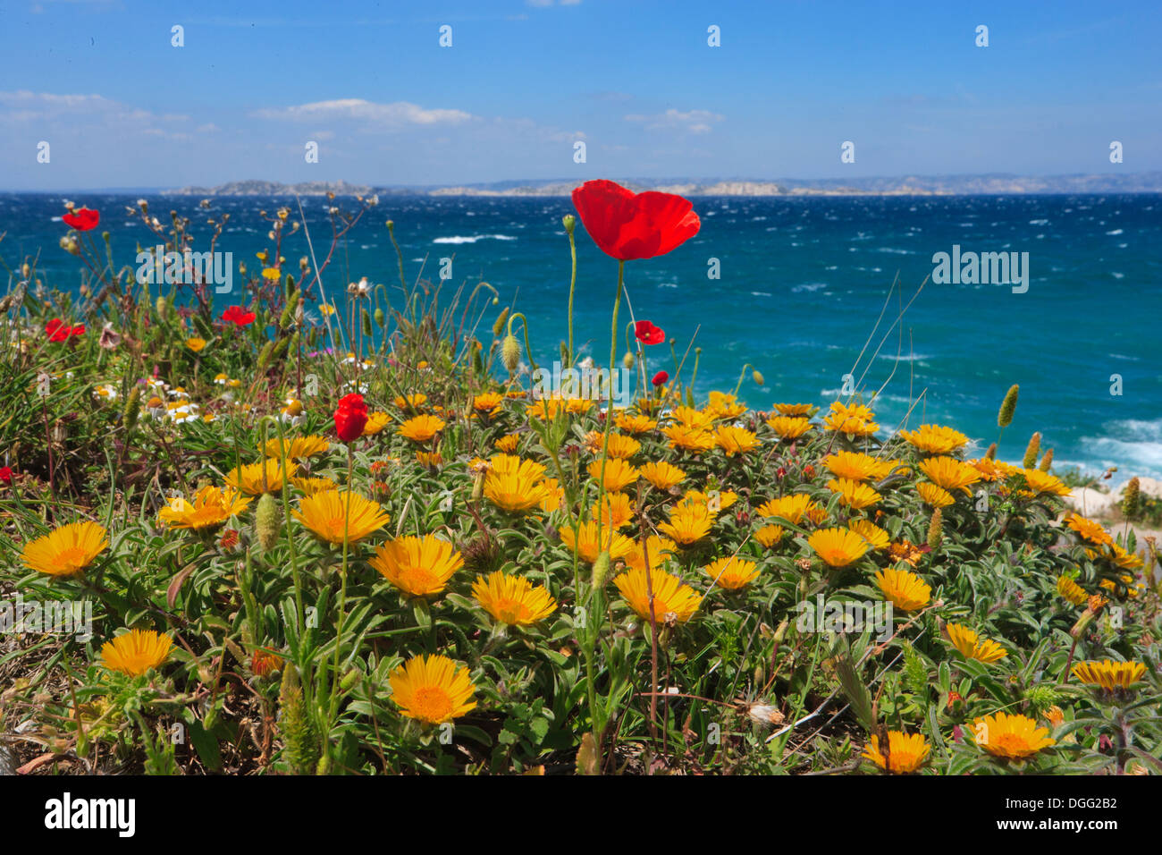 Bay of marseille hi-res stock photography and images - Alamy