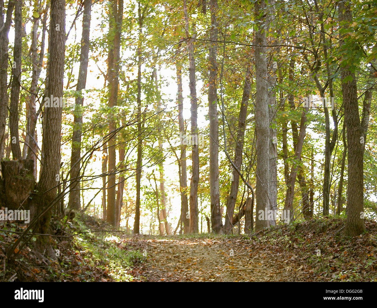 Appalachian ohio hi-res stock photography and images - Alamy
