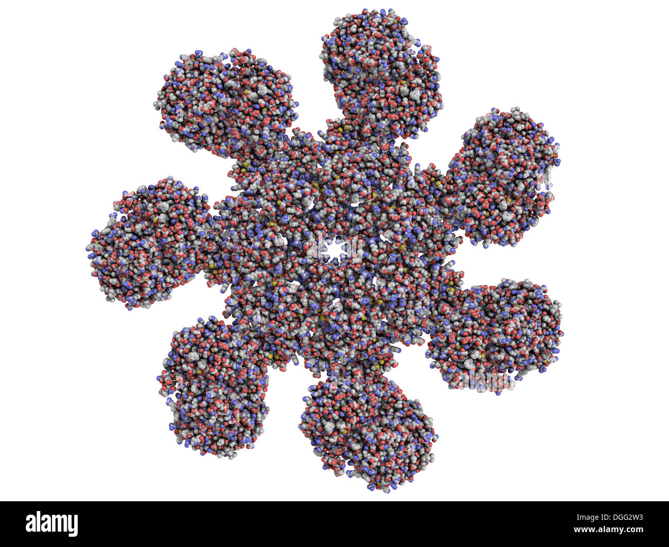 Apoptosis hi-res stock photography and images - Alamy