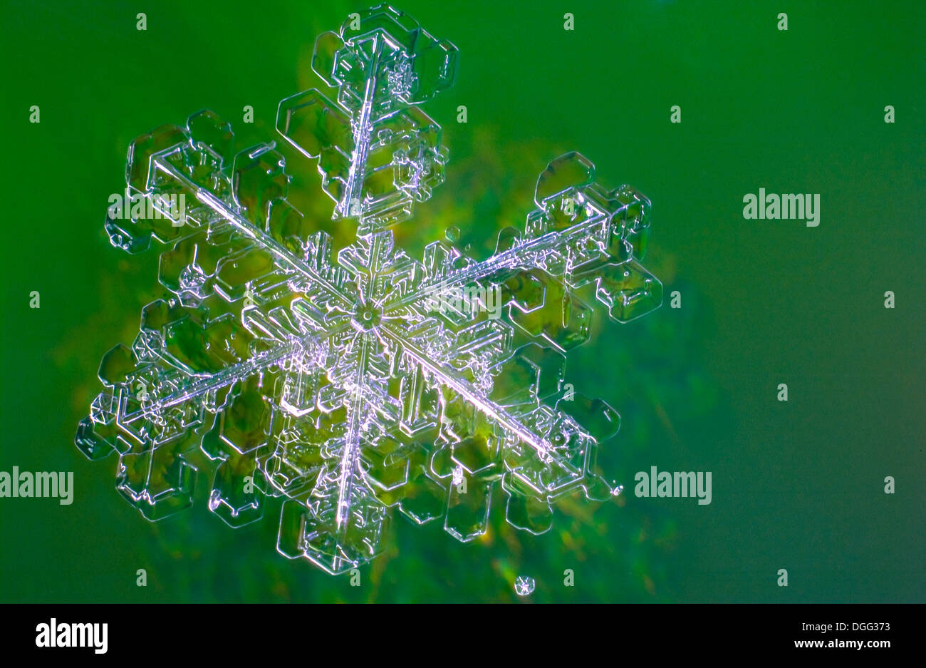 Individual snowflakes are difficult to photograph because they melt ...