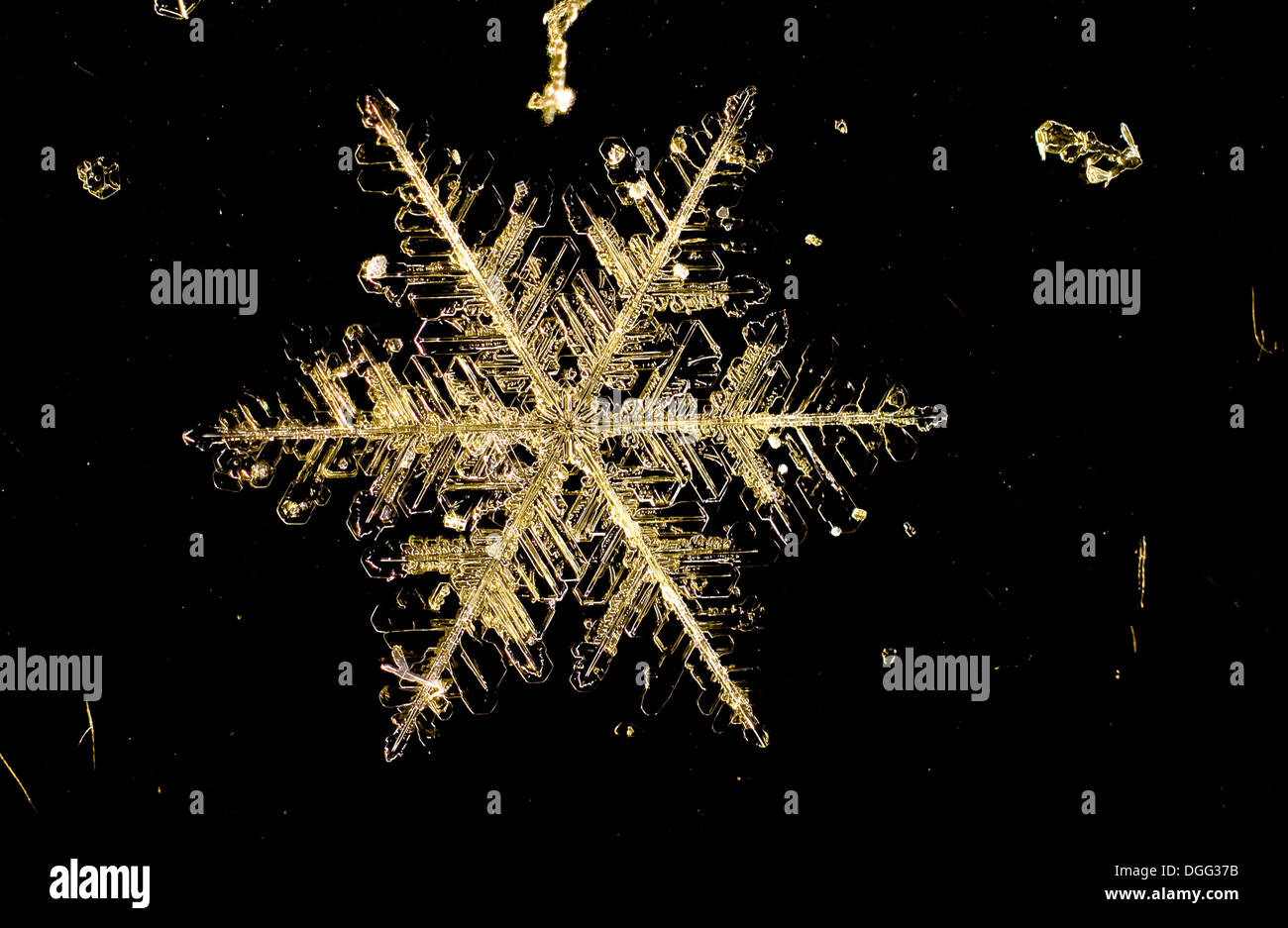 Individual snowflakes hi-res stock photography and images - Alamy