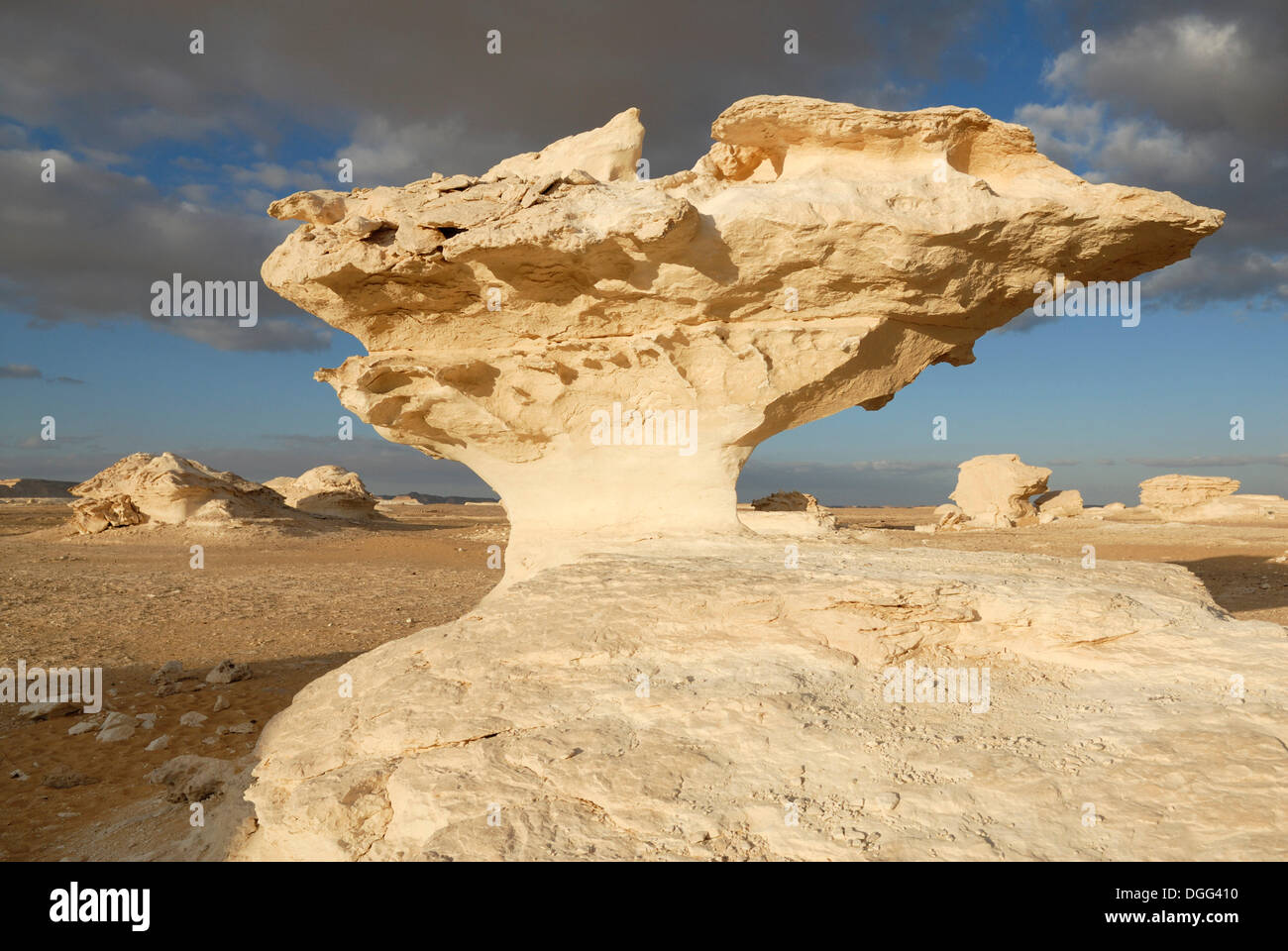 Mushroom-shaped limestone formation, White Desert, Farafra Oasis ...