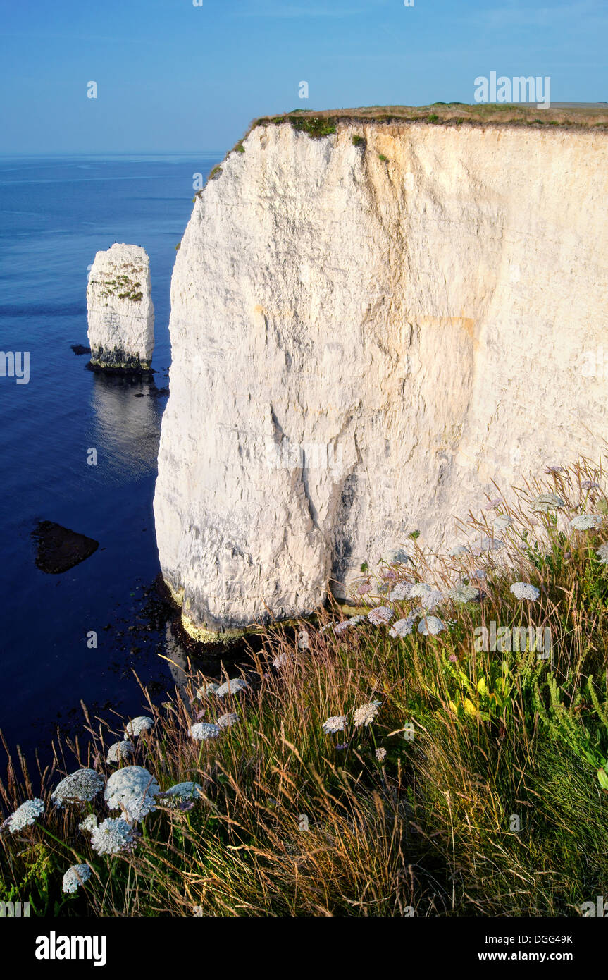Swanage bay cliffs hi-res stock photography and images - Alamy