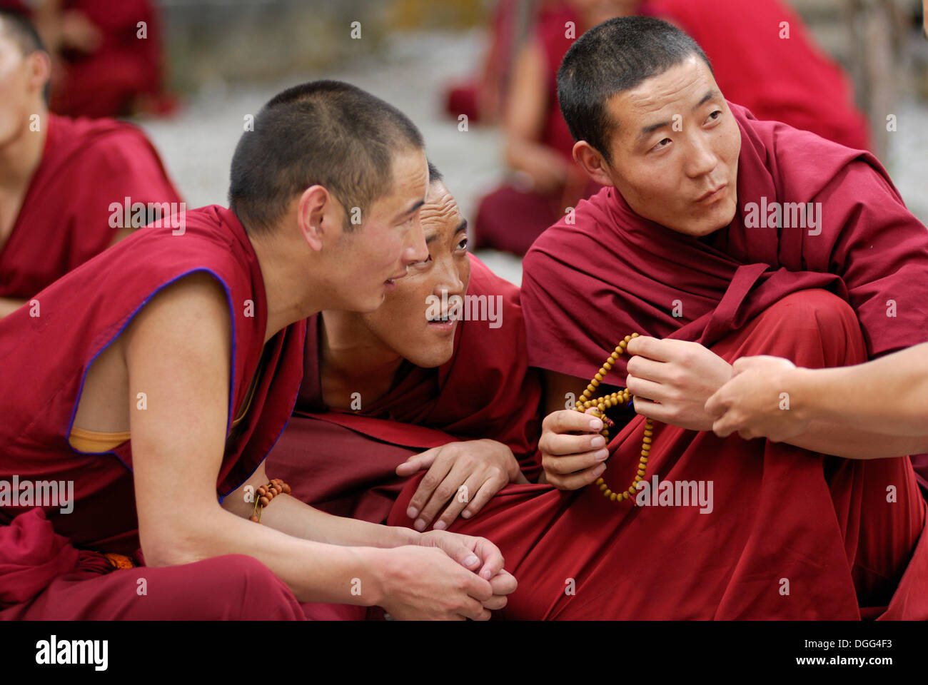 Tibetan monks debating, Sera Monastery, Lhasa, Tibet, China, Asia Stock ...