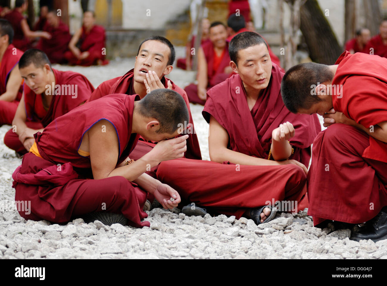 Debating Tibetan monks, Sera Monastery, Lhasa, Tibet, China, Asia Stock ...