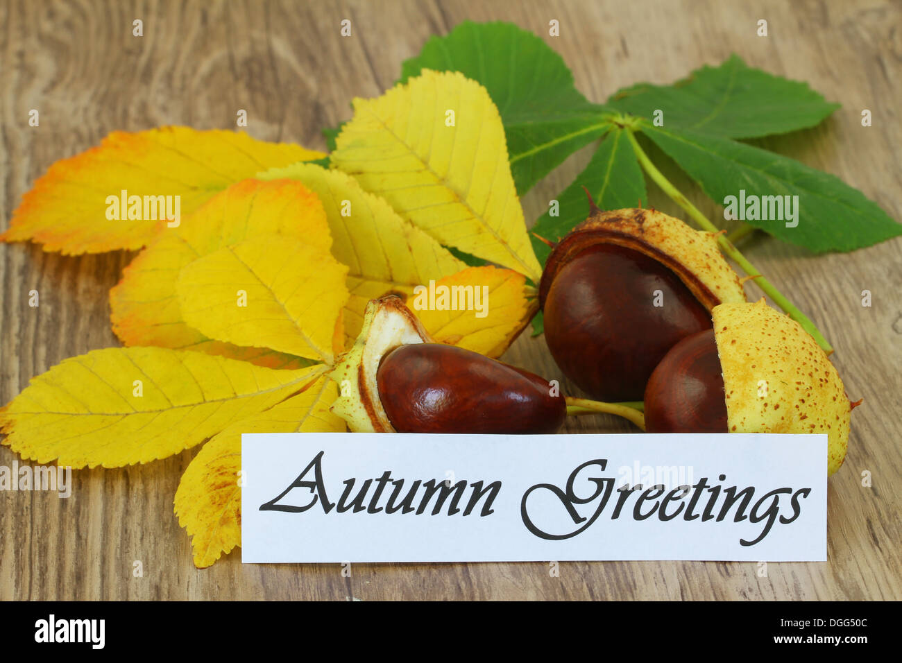 Autumn greetings card with chestnuts and autumn leaves Stock Photo - Alamy