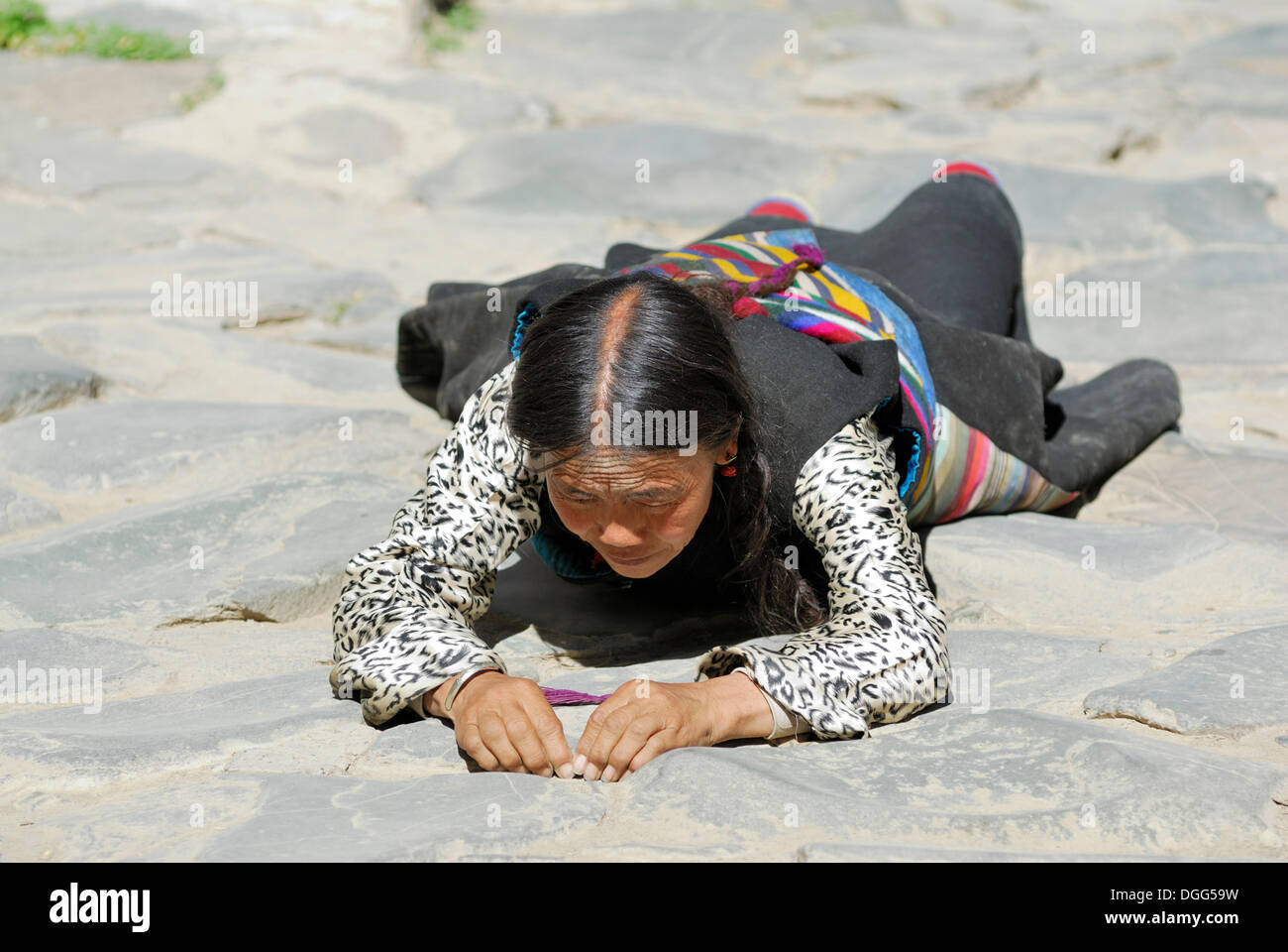 Tibetan pilgrim lying in prostration, Tashilhunpo Monastery, Shigatse ...