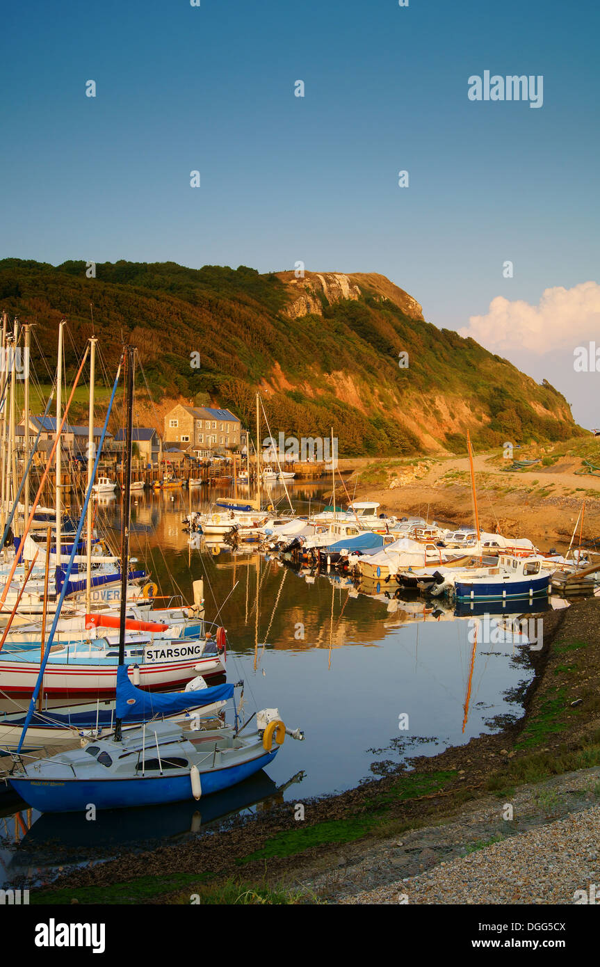 Axmouth hi-res stock photography and images - Alamy