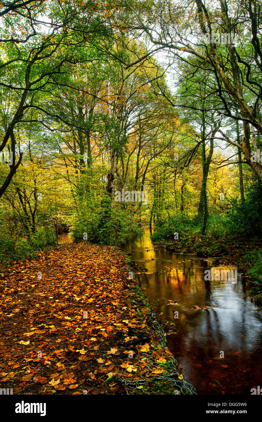 UK,South Yorkshire,Sheffield,Rivelin Valley,River Rivelin & Woodland ...