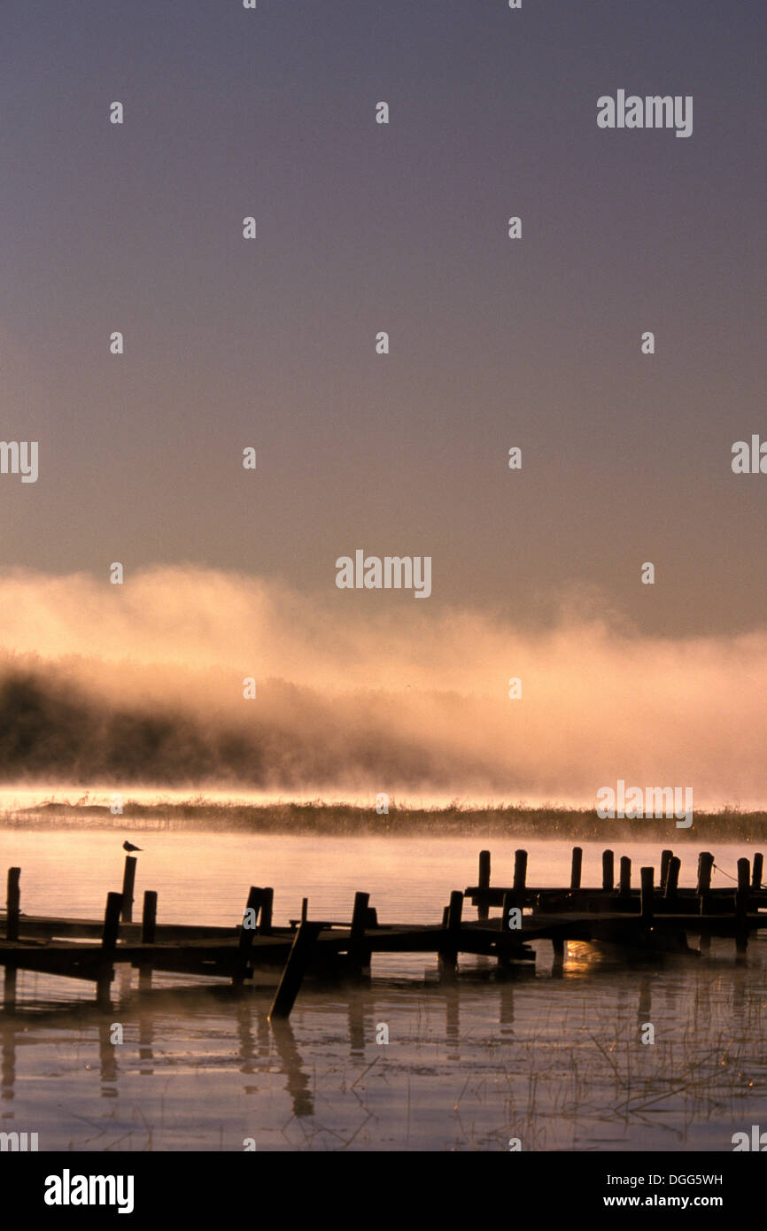Sunrise mist and boat dock over Lake of the Woods near Warroad ...