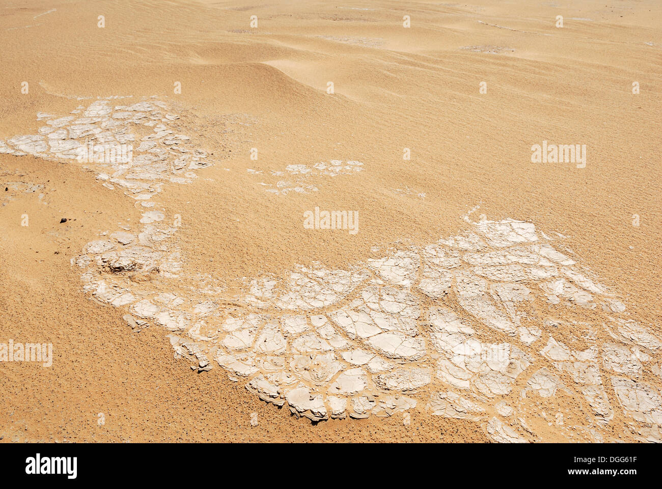 Sandy Loamy Soil High Resolution Stock Photography and Images - Alamy
