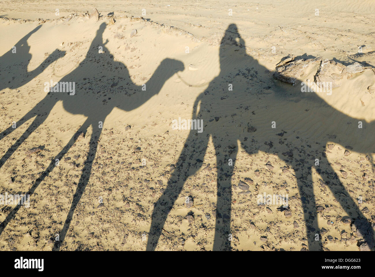 Trekking safaris hi-res stock photography and images - Alamy