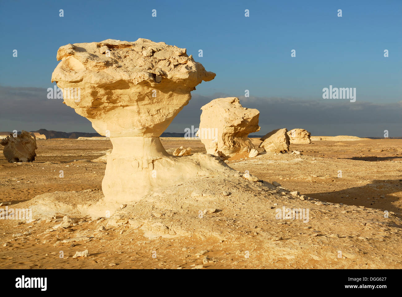 Mushroom-shaped limestone rock formations, White Desert, Farafra Oasis ...