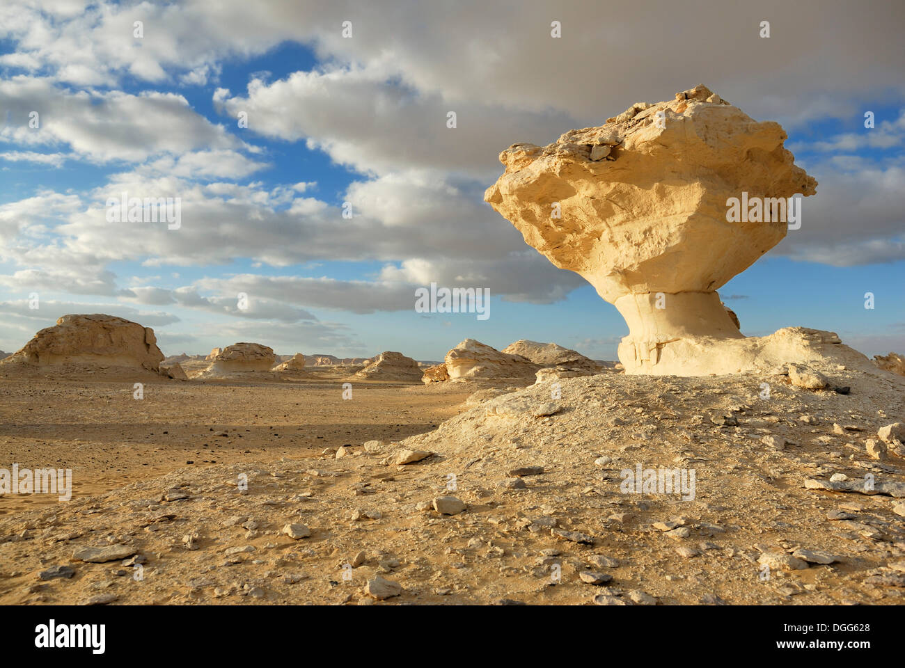 Mushroom-shaped limestone rock formation, White Desert, Farafra Oasis ...