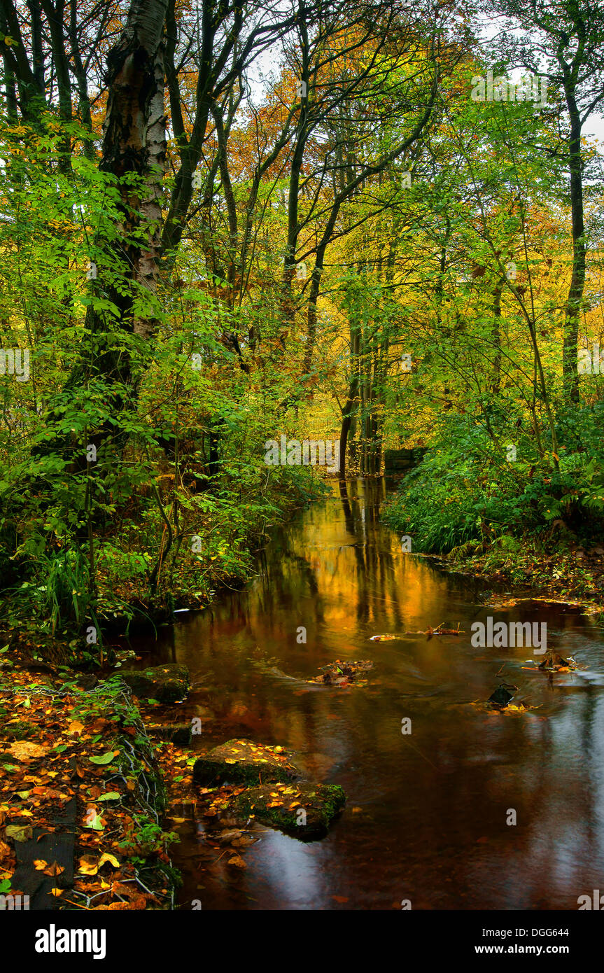 Sheffield River By The Rivelin Valley High Resolution Stock Photography ...