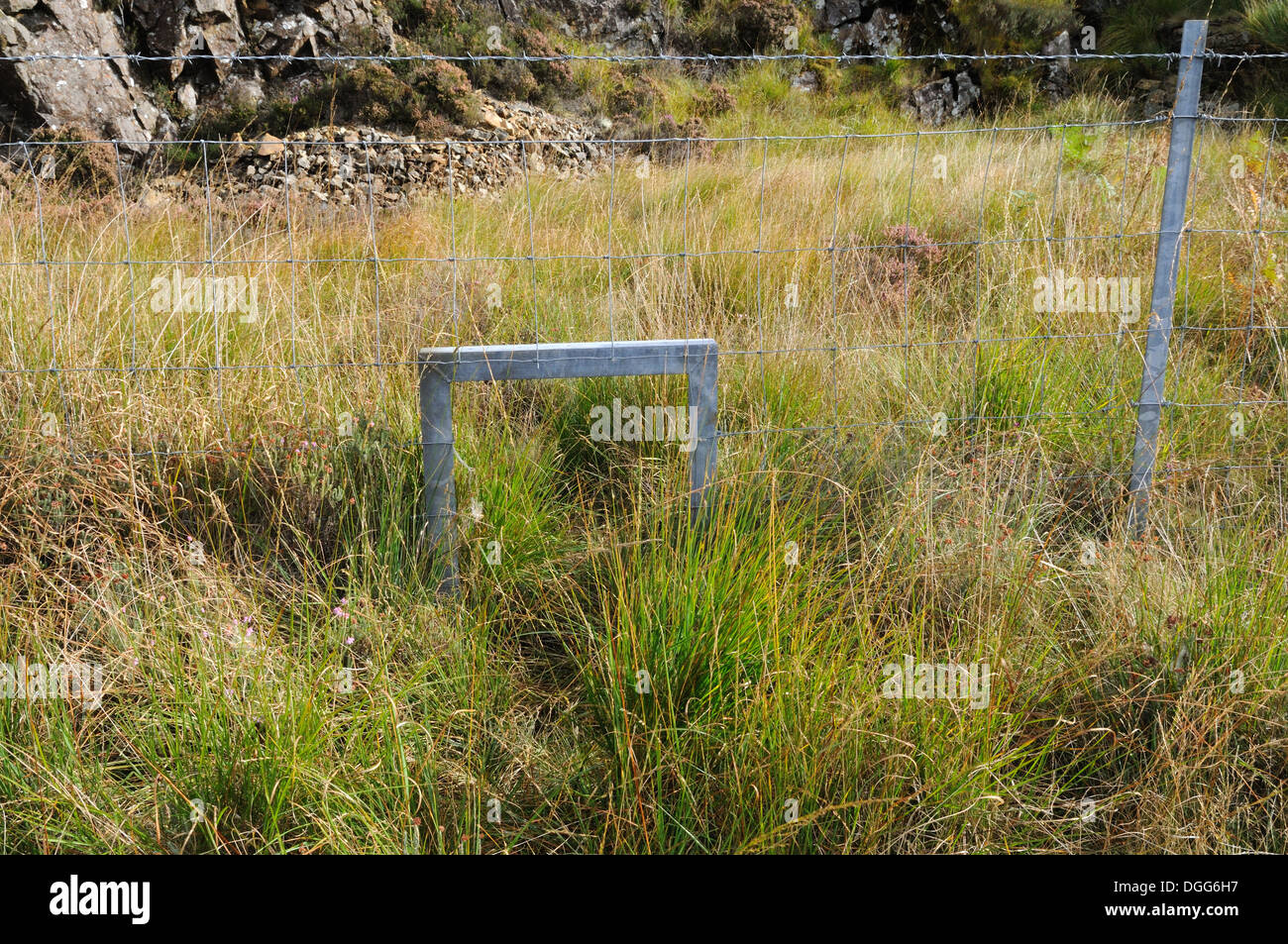 Badger gate hi-res stock photography and images - Alamy