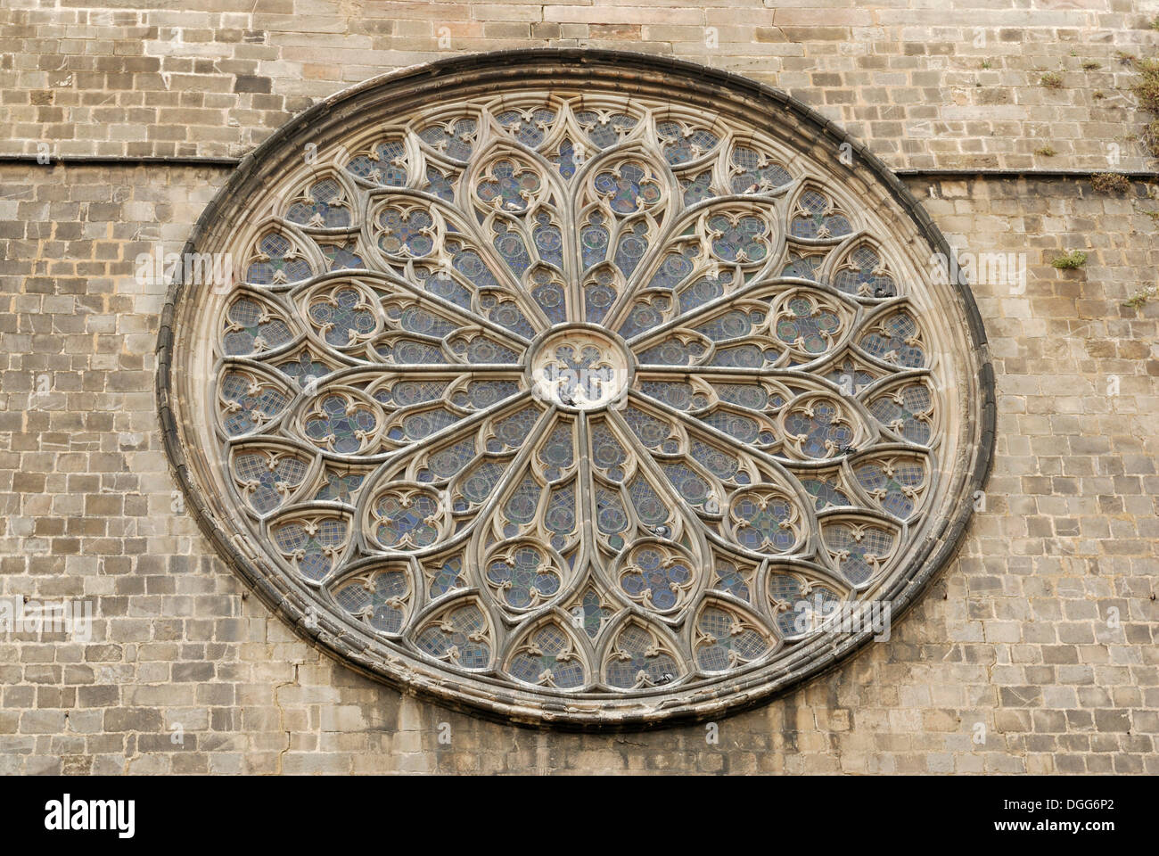 Stained glass window, rose window, Santa Maria del Pi, Plaça del Pi ...