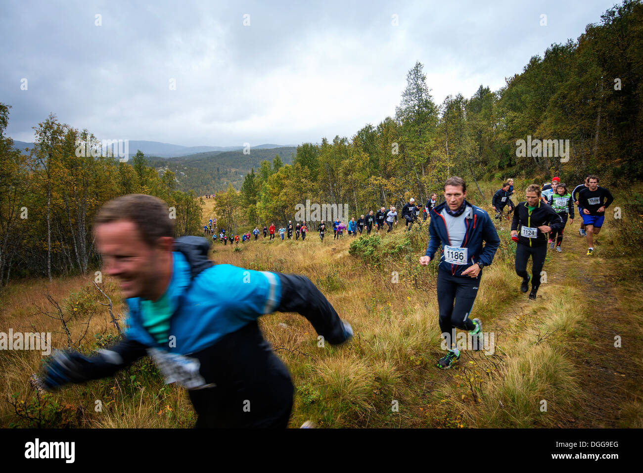 A long line of runners fighting their way up a slippery hill Stock ...