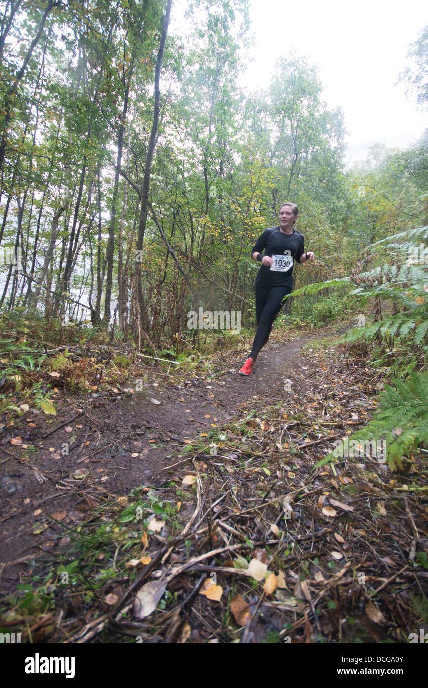 Training forrest hi-res stock photography and images - Alamy