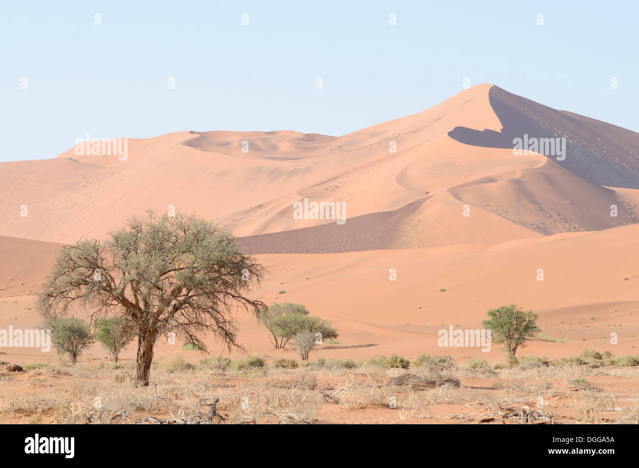 One of the highest dunes in Sossusvlei, dune landscape, Sossusvlei ...