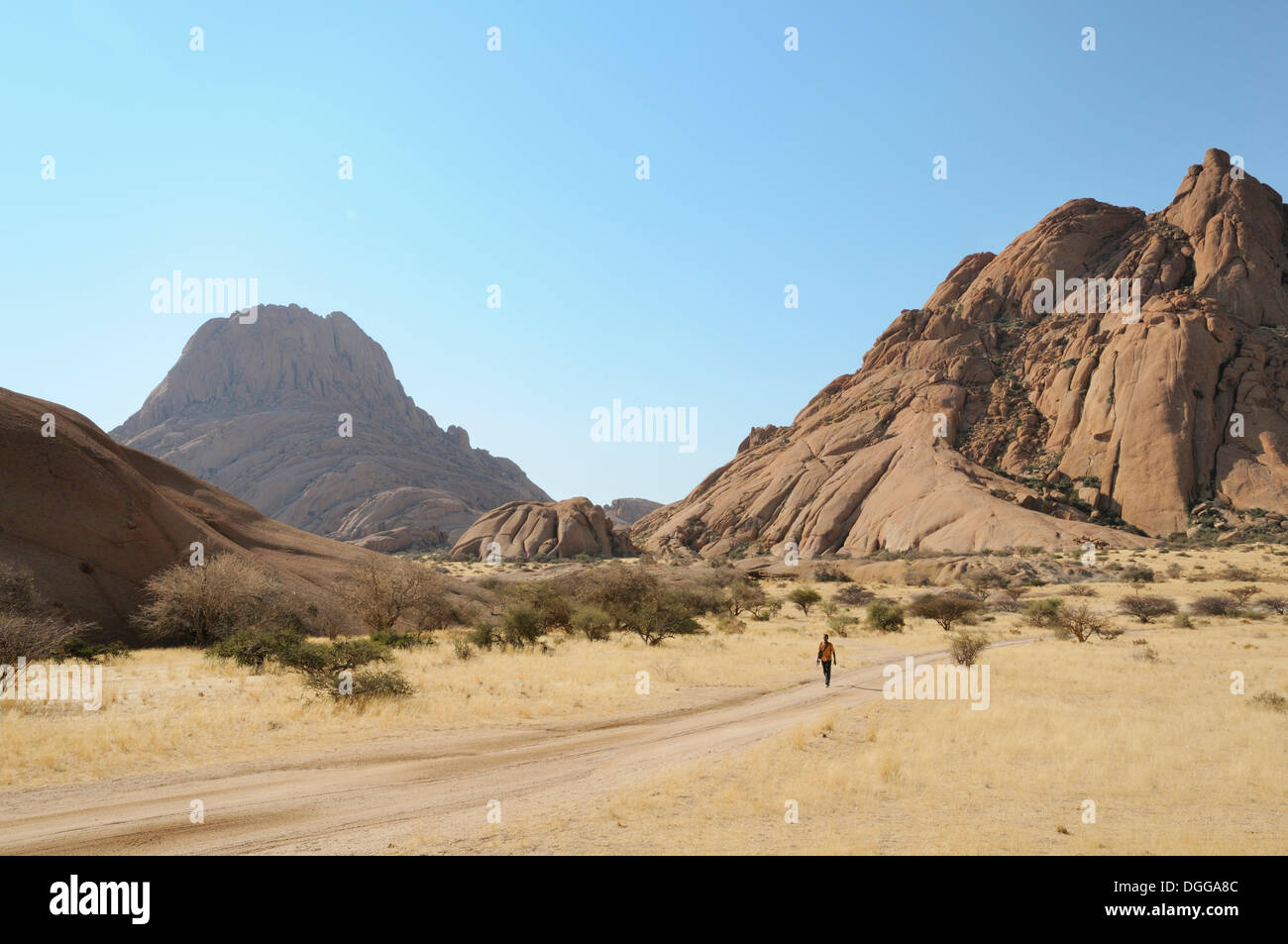 Savannah landscape with granite rocks and Spitzkoppe Mountain, Pontok ...