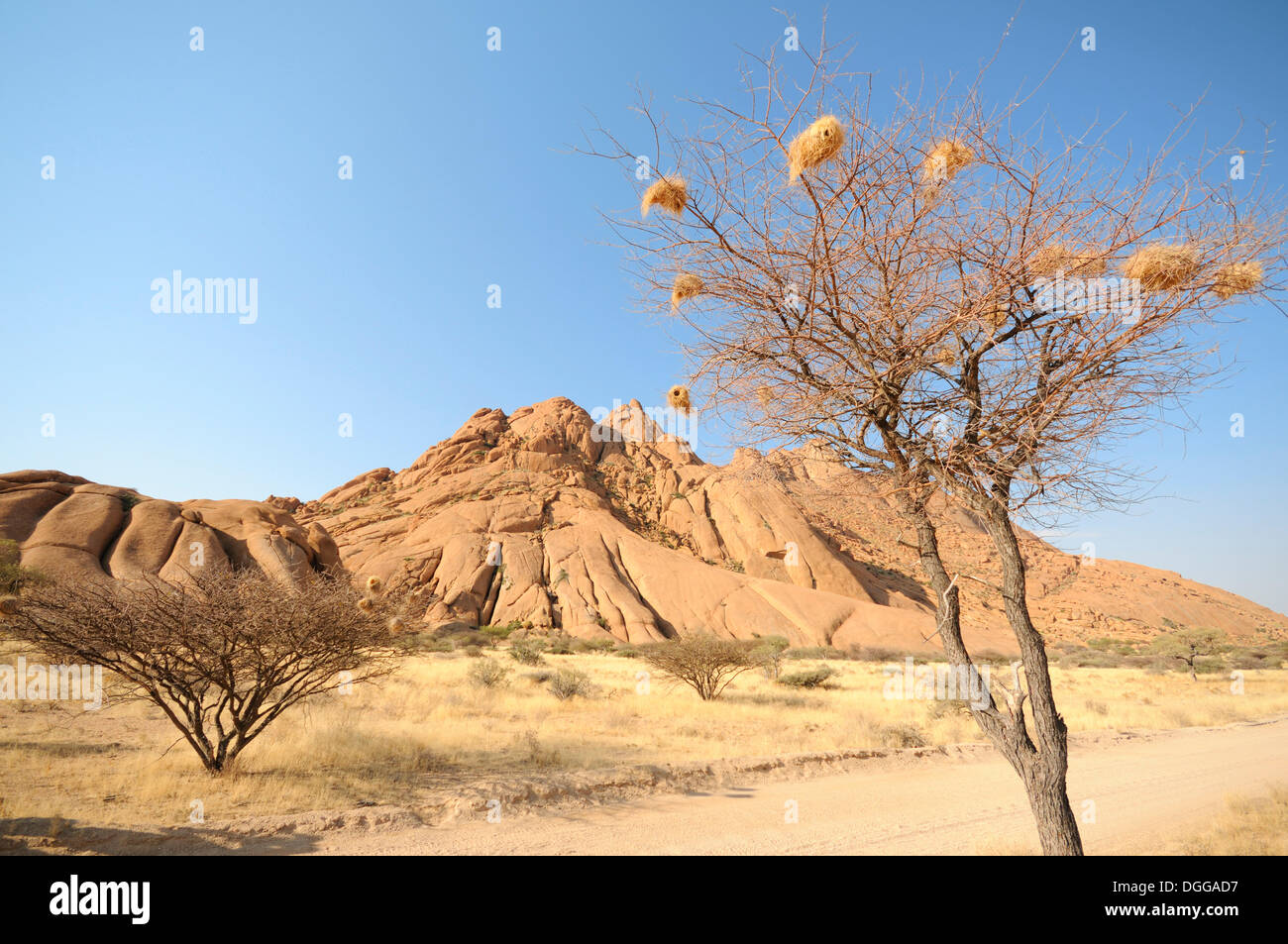 Savannah landscape with granite rocks of the Pontok Mountains, Pontok ...