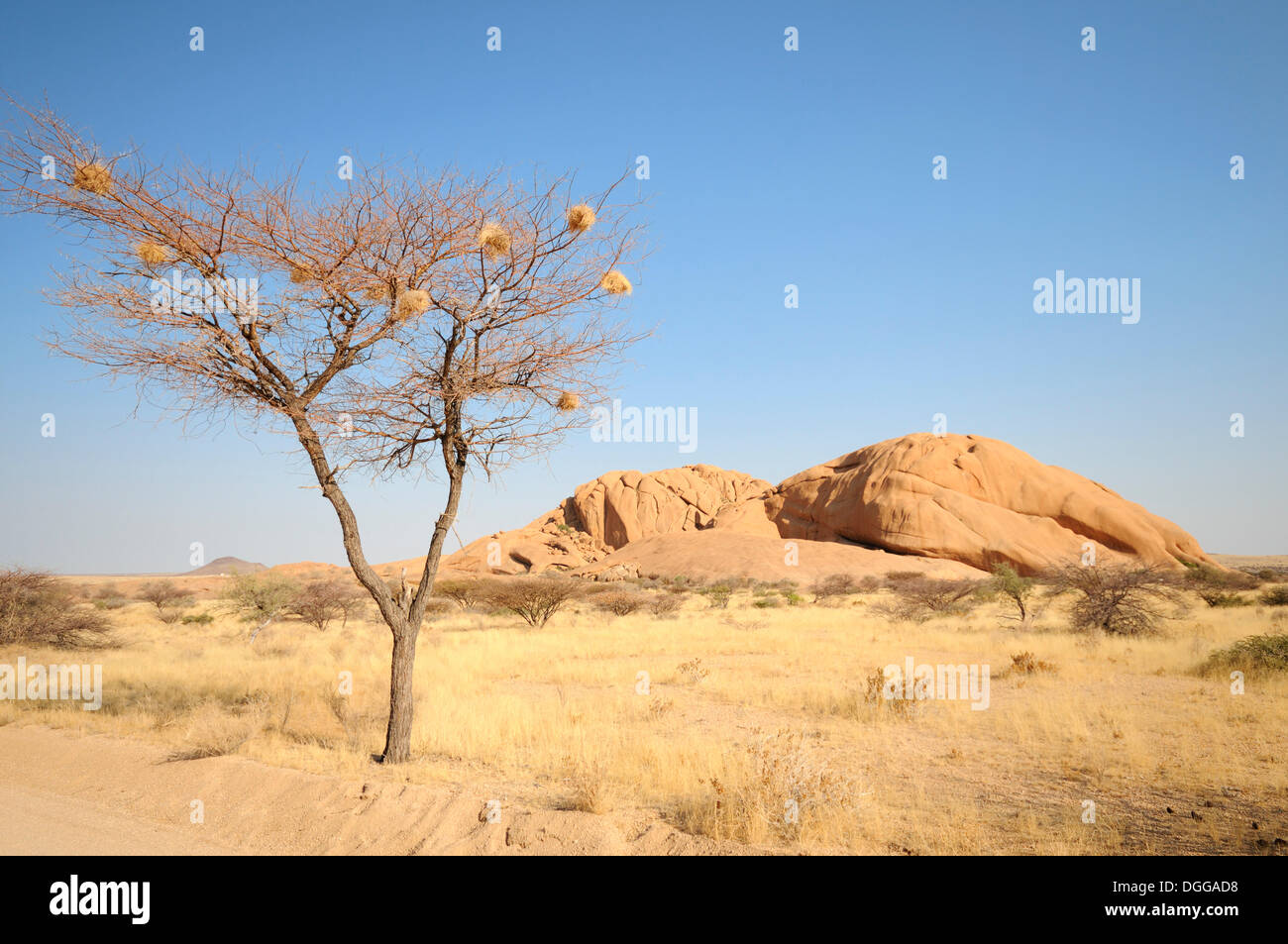 Savannah landscape with granite rocks of the Pontok Mountains ...