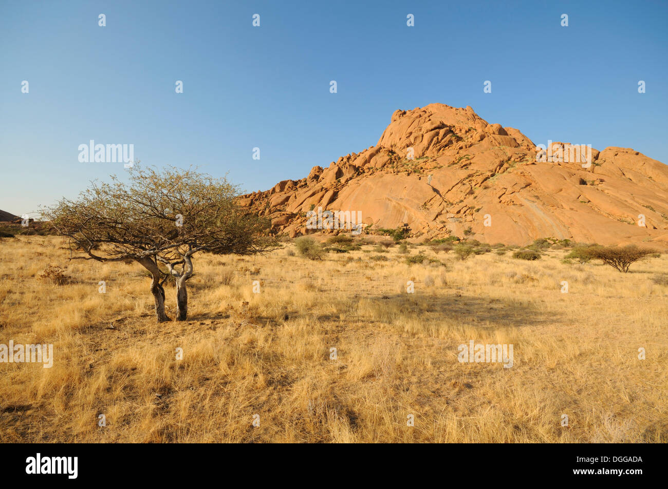 Savannah landscape with granite rocks of Pontok Mountains, Spitzkoppe ...