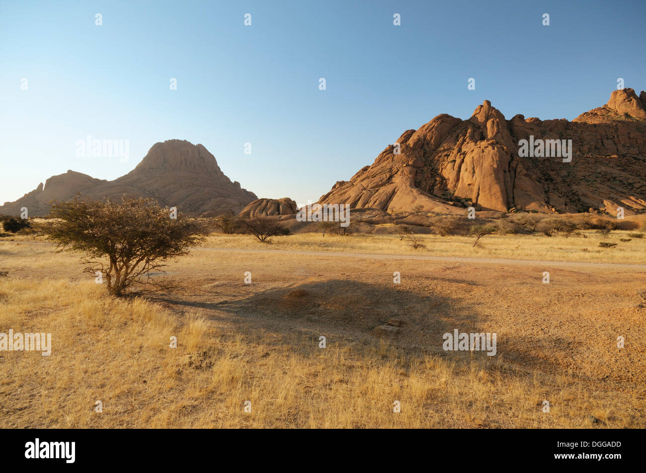 Savannah landscape with granite rocks of Spitzkoppe Mountain and the ...