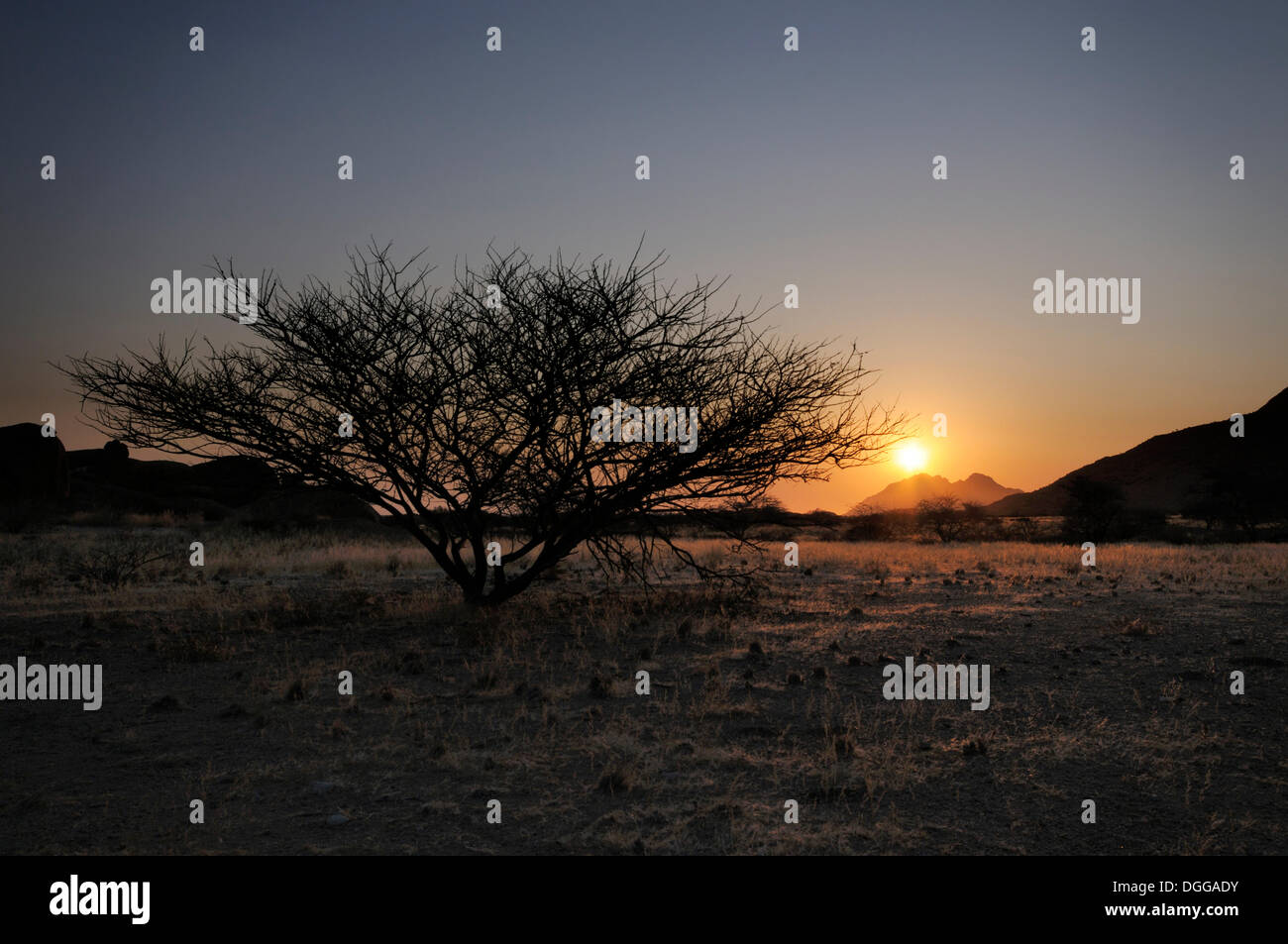 Evening mood, savannah landscape, Great Spitzkoppe and Pontok Mountains ...