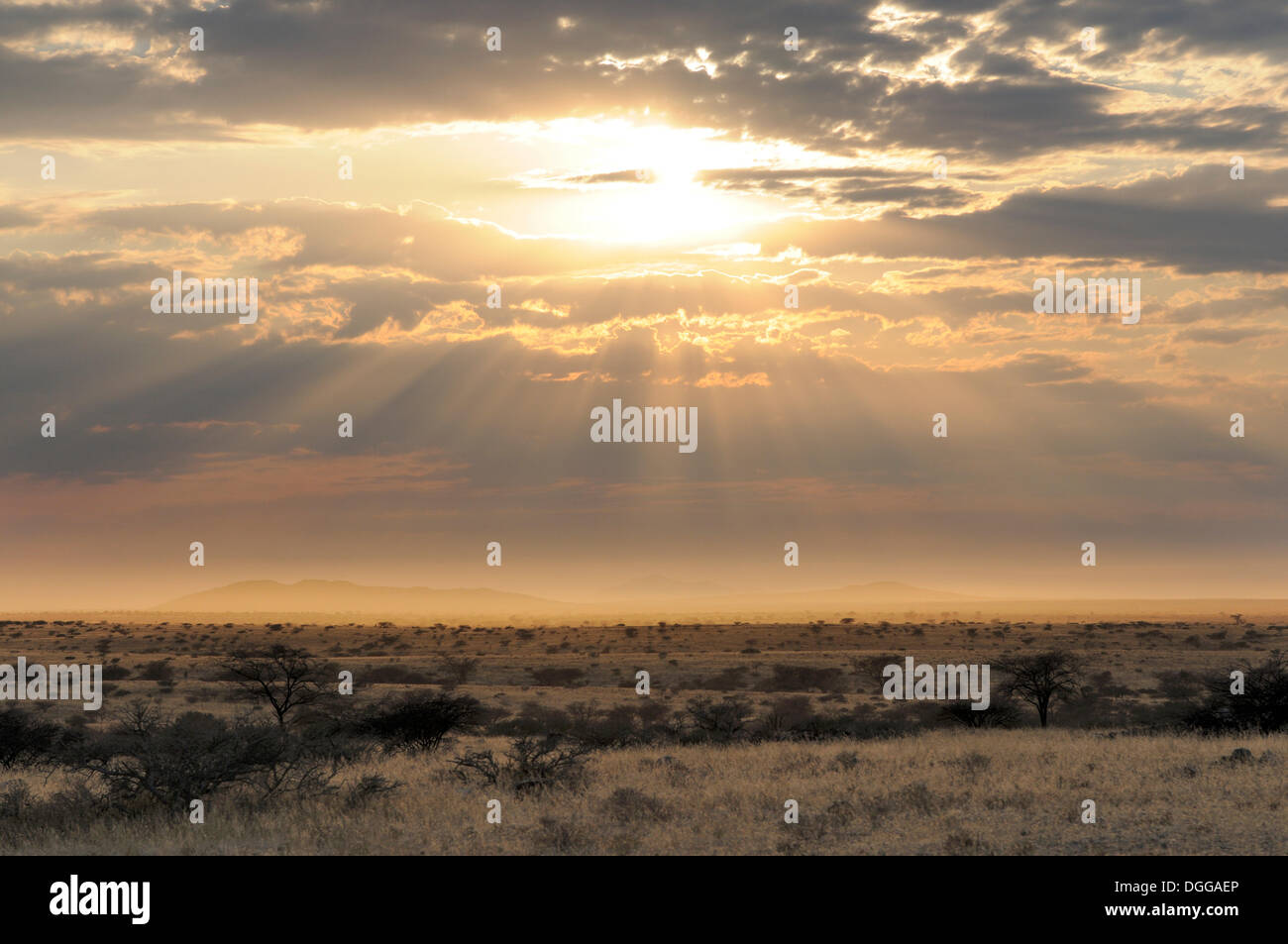 Namibian sunrise landscapes hi-res stock photography and images - Alamy