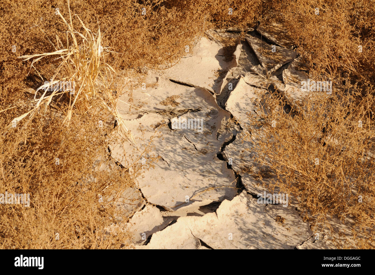 Dry river bed, cracked soil, Damaraland, Namibia, Africa Stock Photo ...