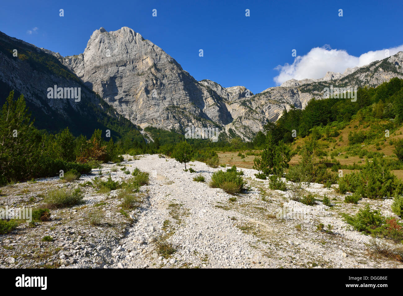 Mount Arapi, 2217 m, Albanian Alps, Theth National Park, Albania, The ...