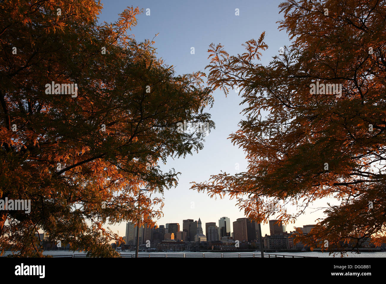 Fall foliage, Boston Harbor and city skyline, Boston, Massachusetts ...