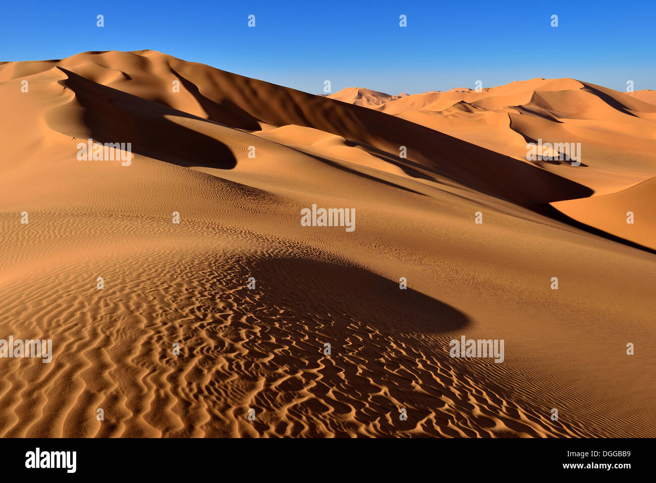 Sand dunes at Erg Mehejibad, Erg Mehejibad, Immidir or Mouydir, Sahara ...