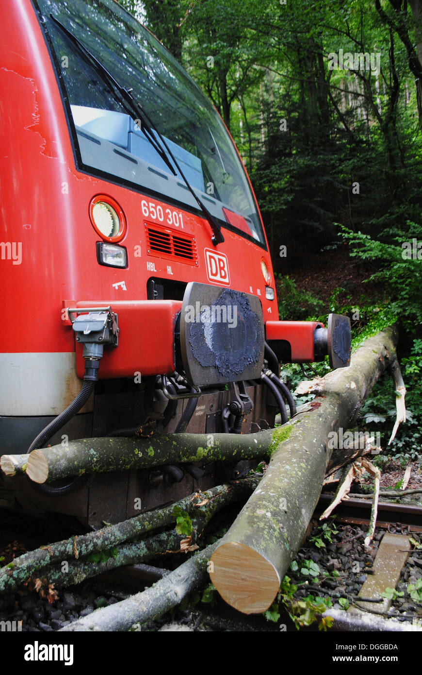 A fallen tree blocking the rail traffic between Dreizelgenberg Tunnel ...