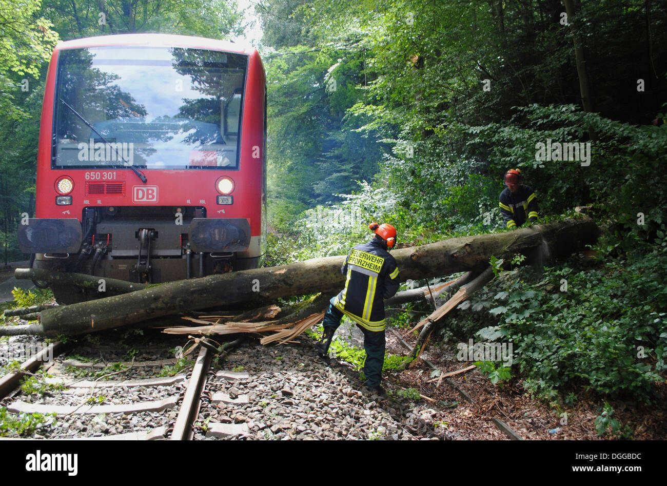 A fallen tree blocking the rail traffic between Dreizelgenberg Tunnel ...