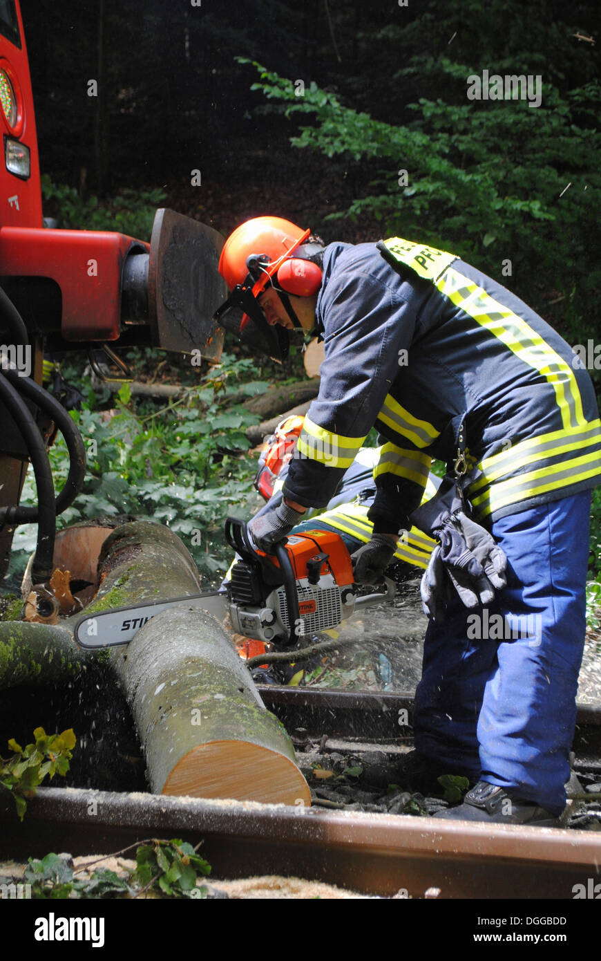 Removal of a fallen tree blocking the rail traffic between ...