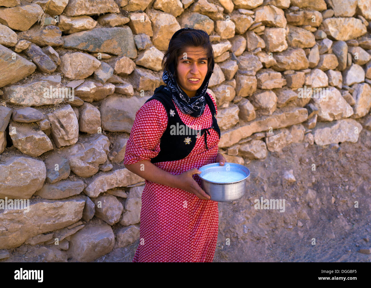 Woman Collecting Goat Milk In The Old Kurdish Village Of Palangan, Iran Stock Photo - Alamy