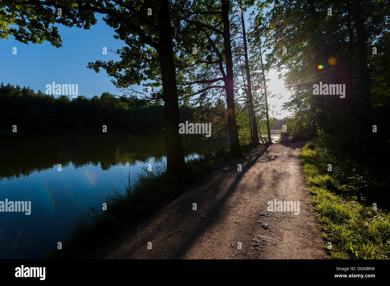 Lake Pfaffensee in Stuttgart, one of the three Baerenseen lakes ...
