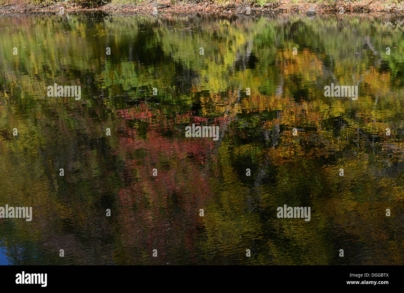 East Haven Ct High Resolution Stock Photography and Images - Alamy