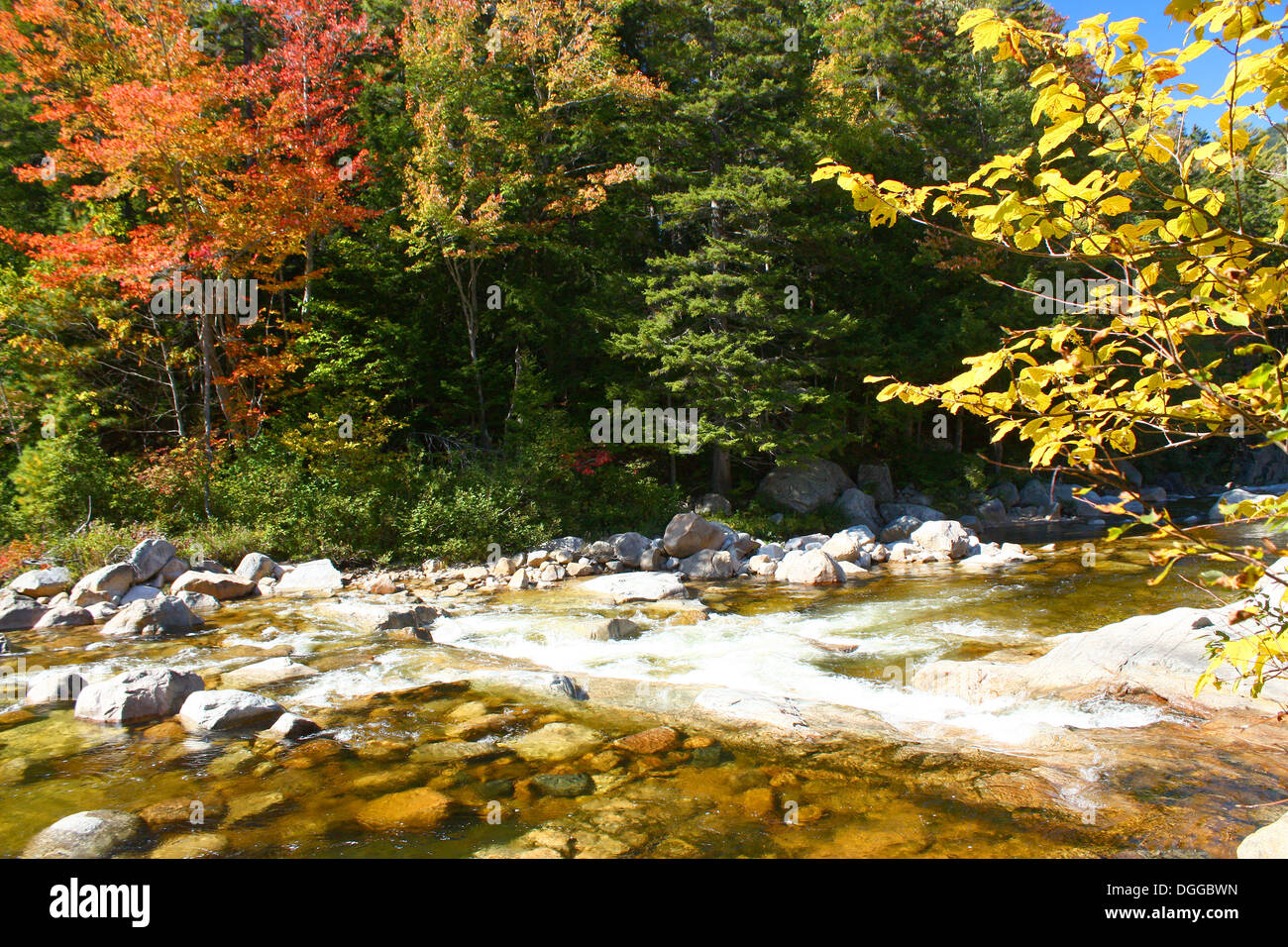 Swift RIver #7 Stock Photo - Alamy